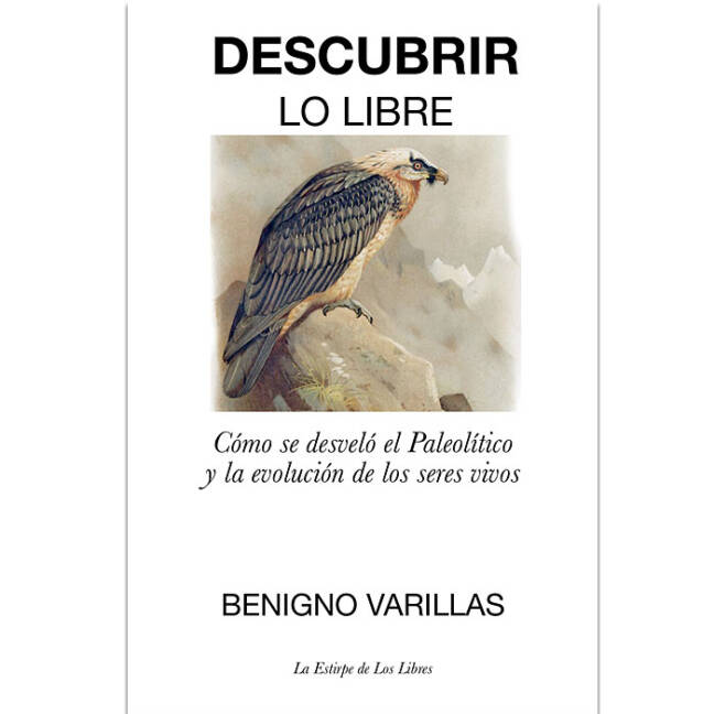DESCUBRIR LO LIBRE. Como se desveló el paleolítico y la evolución de ...